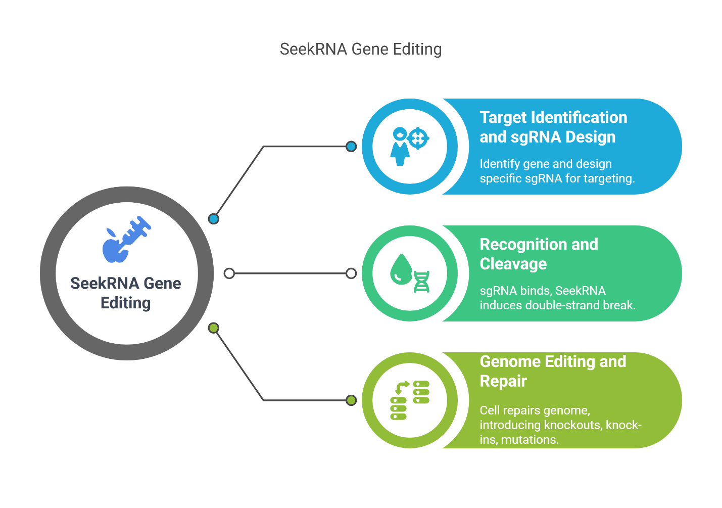 Beyond CRISPR: The Next Generation of Gene Editing Tools