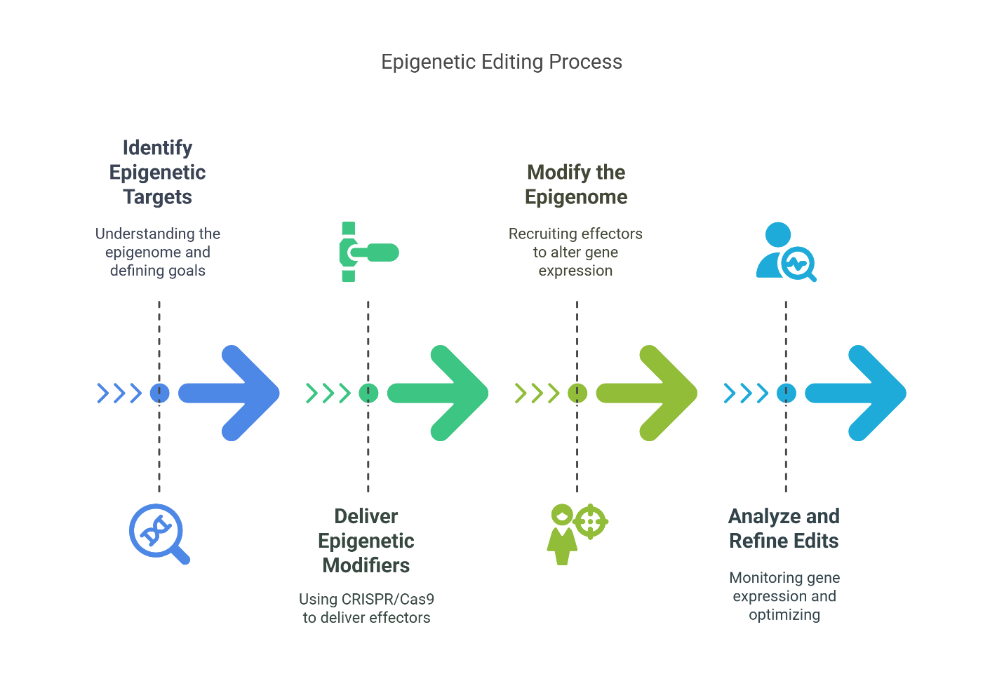Beyond CRISPR: The Next Generation of Gene Editing Tools