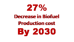 The Promising Future of Biofuels: Trends, Policies, and Global Initiatives